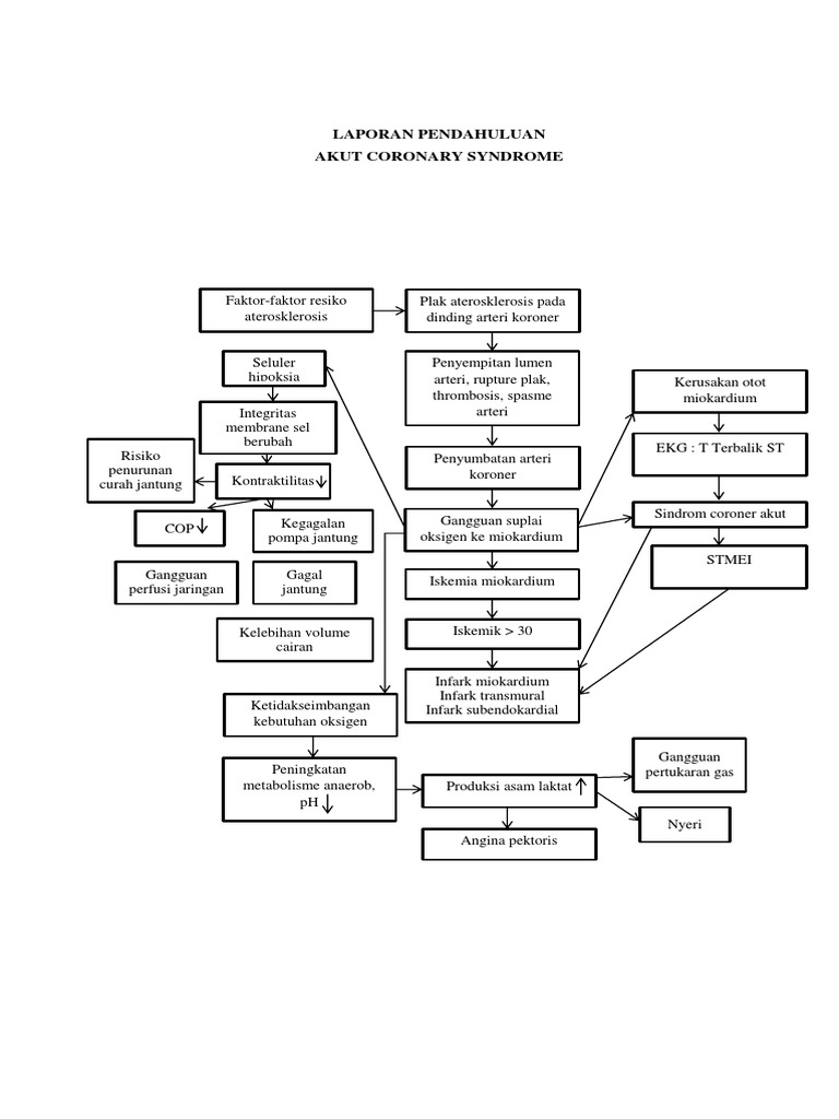 Panduan Lengkap Akut Coronary Syndrome | PDF