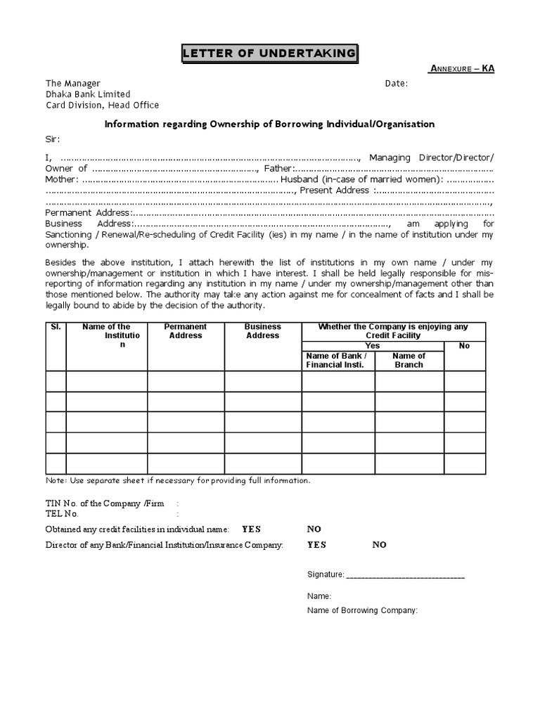 CIB Undertaking | PDF | Financial Services | Economies