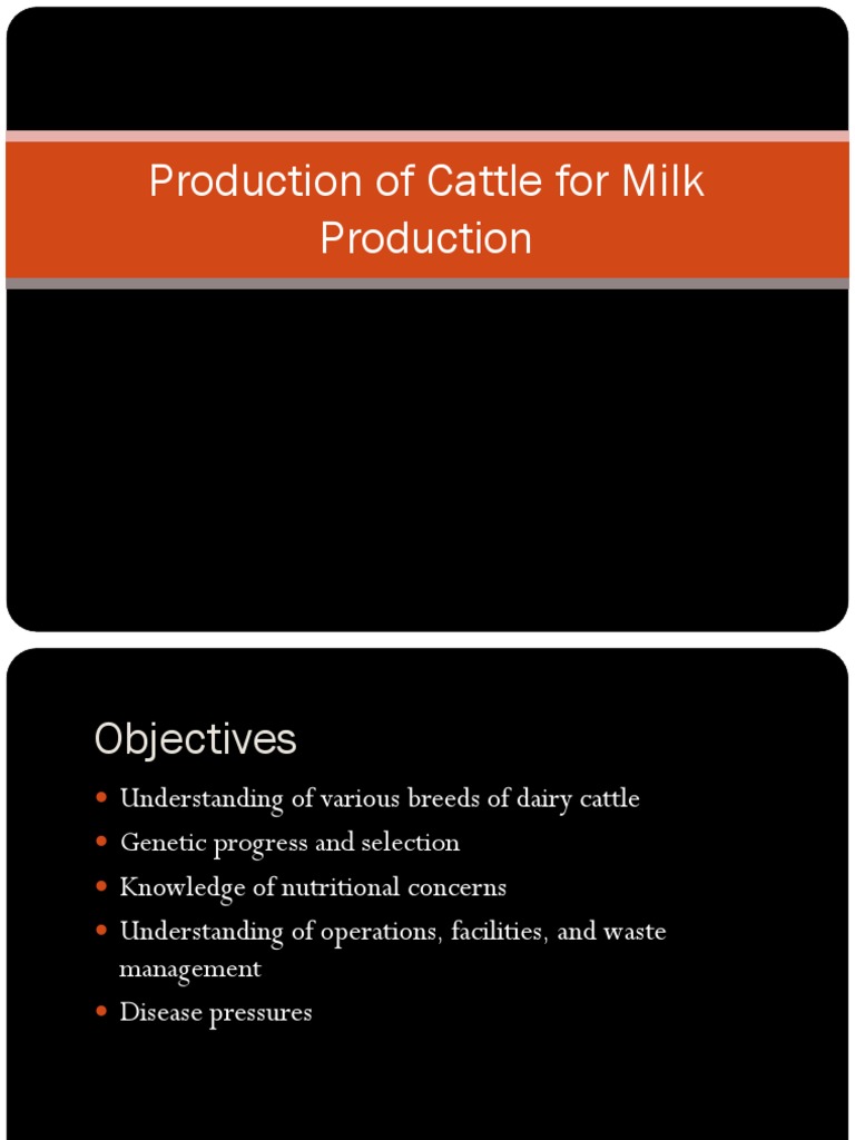 Production of Cattle For Milk | PDF | Dairy Cattle | Milk