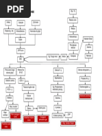 Pathway CKD Sdki | PDF