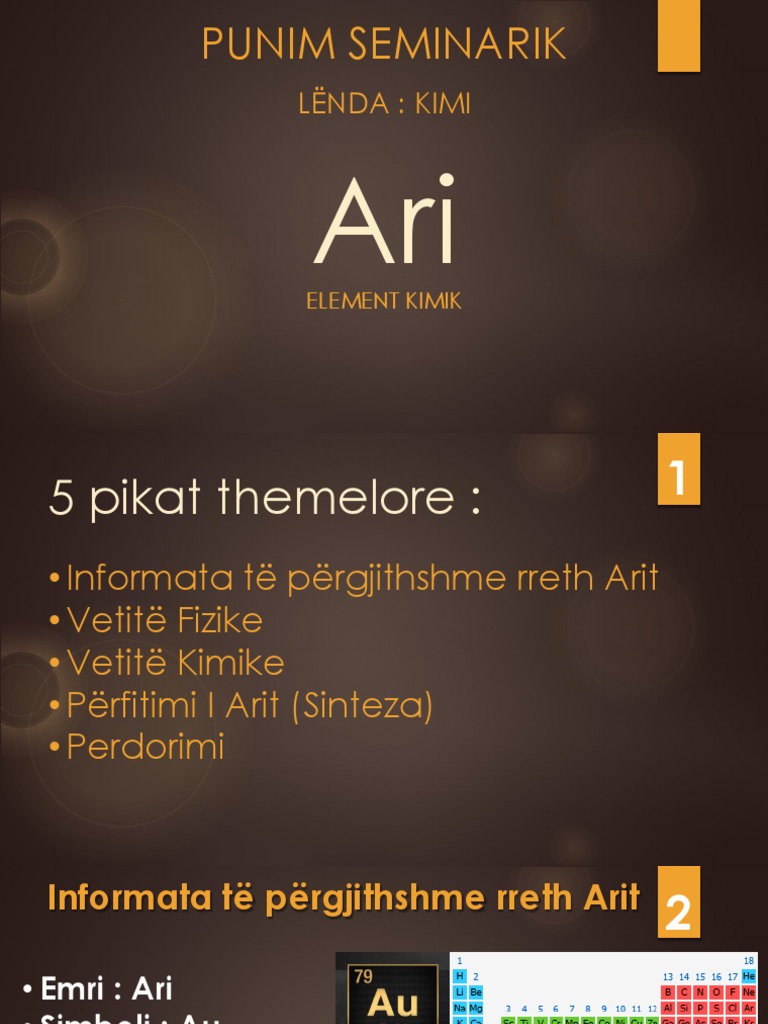 Projekt Seminarik "ARI" | PDF
