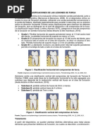 Piramide de Socransky | PDF | Las bacterias | Inmunología
