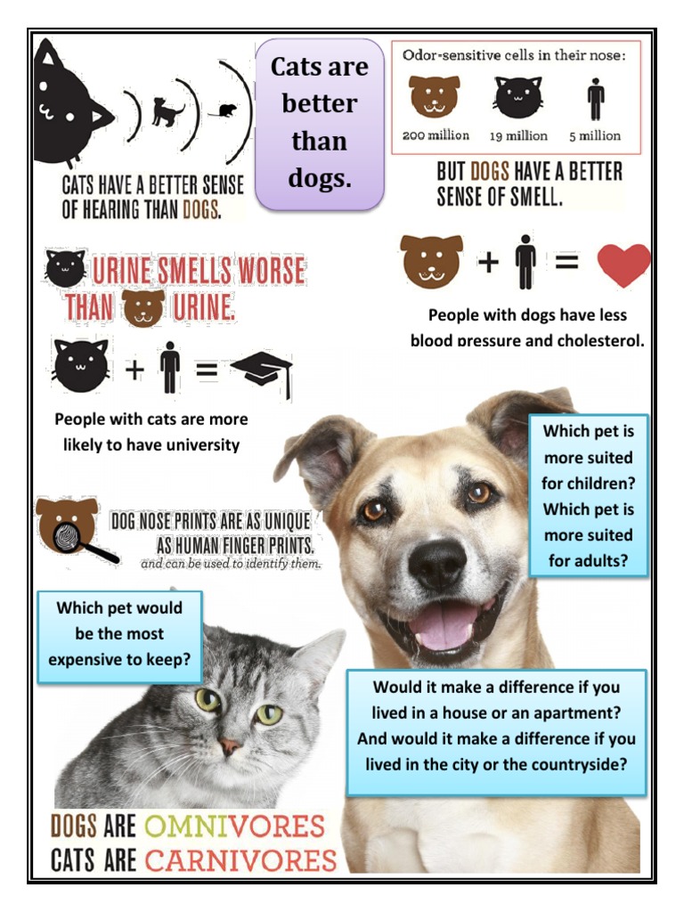 Are Cats Senses Better Than Dogs
