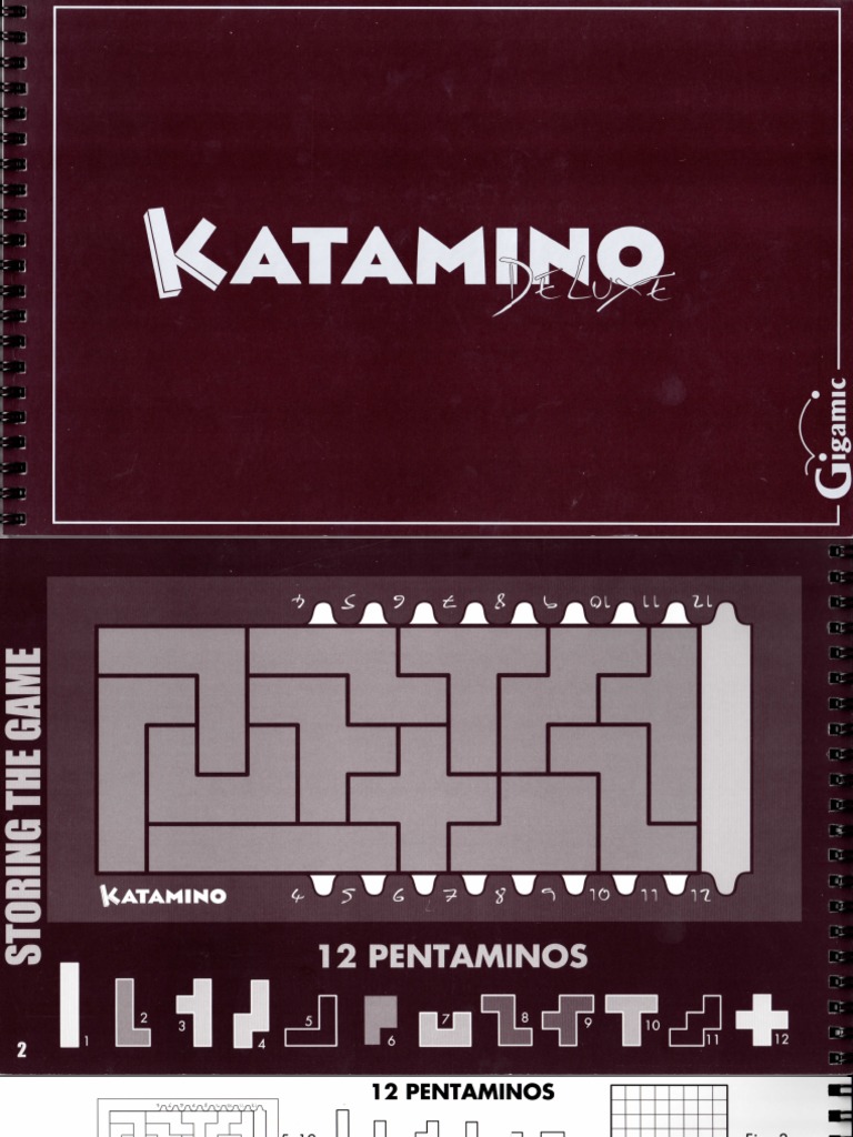 Katamino Rules | PDF | Teaching Mathematics