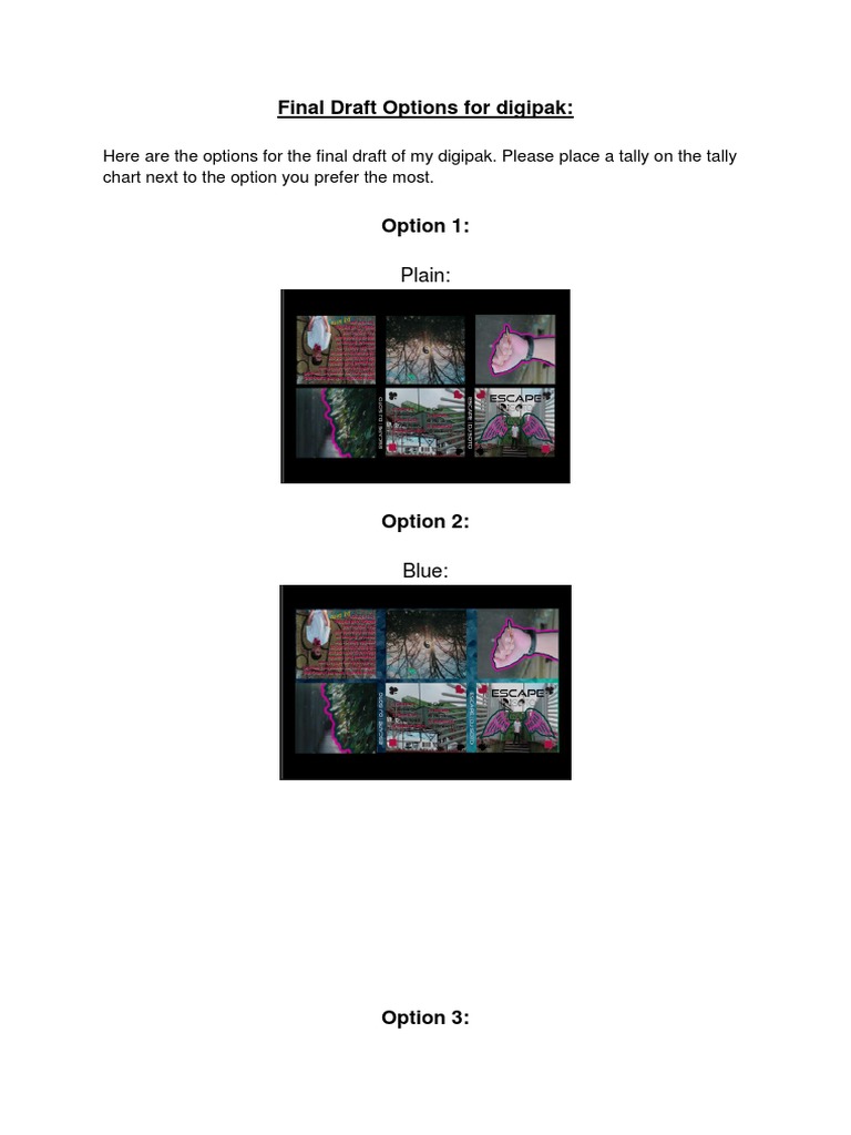 Final Draft Options For Digipak | PDF
