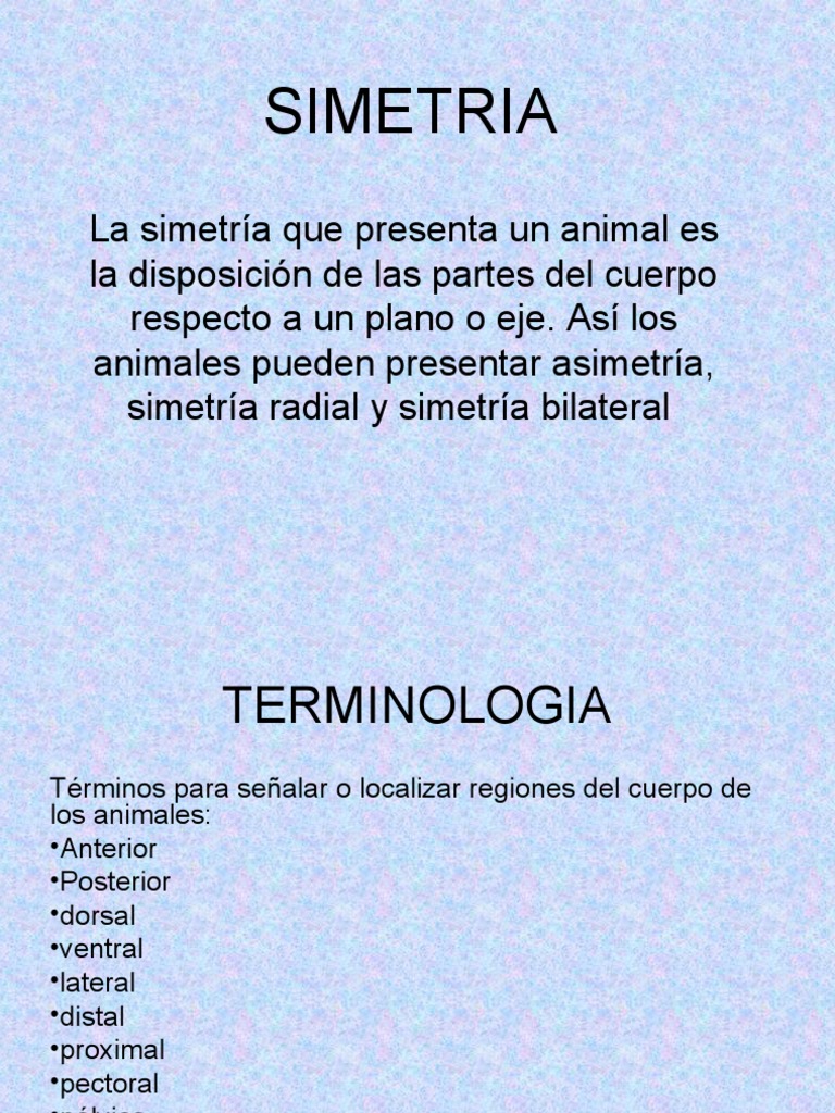 Simetría en Animales: Radial y Bilateral | PDF