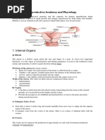 Reproductive System Practical Report | PDF | Menstrual Cycle | Testicle