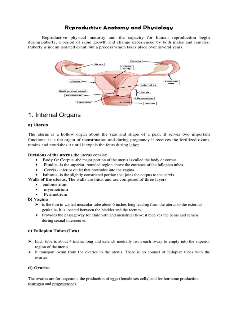 Anatomy and Physiology | PDF | Menstrual Cycle | Luteinizing Hormone