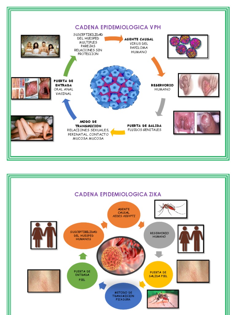 Deber Cadena Epidemiologica