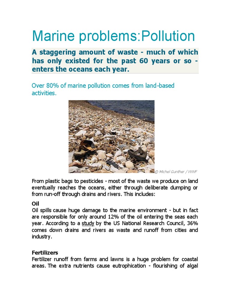 Marine Problems | PDF | Eutrophication | Water Pollution