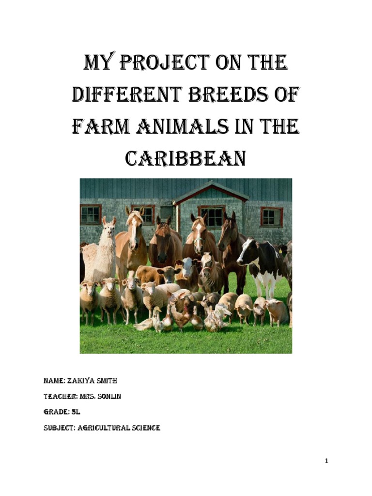 My Project ON THE Different Breeds of Farm Animals in The Caribbean | PDF