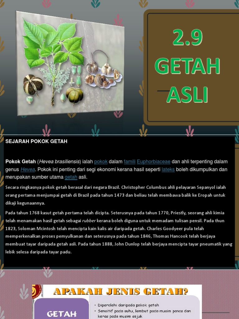 Getah Asli | PDF