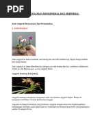 Morfologi Dan Anatomi Bunga Sepatu | PDF