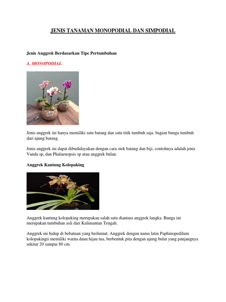 Jenis Tanaman Monopodial Dan Simpodial | PDF