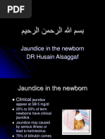 Neonatal Jaundice NICE Threshold Graphs | PDF | University College ...