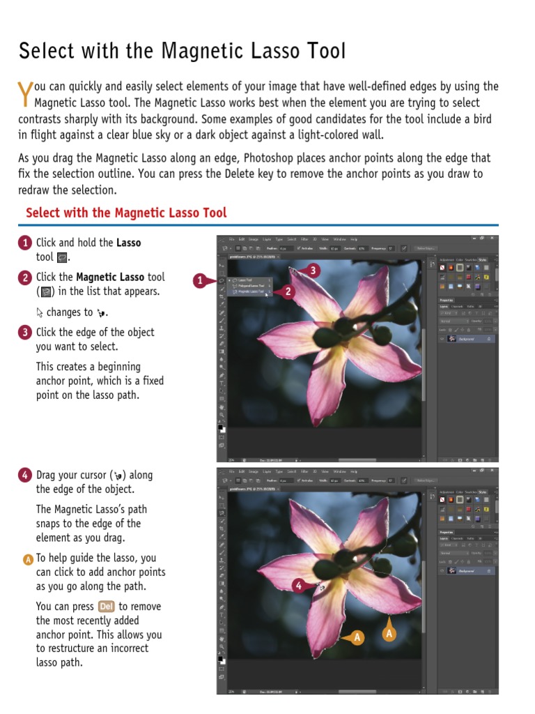 Magnetic Lasso Tool Guide | PDF