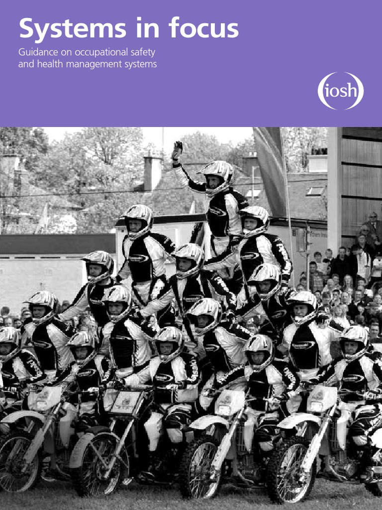 Systems in Focus | PDF | Occupational Safety And Health | Audit