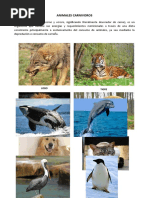 Omnívoros | PDF | Herbívoro | Alimentos
