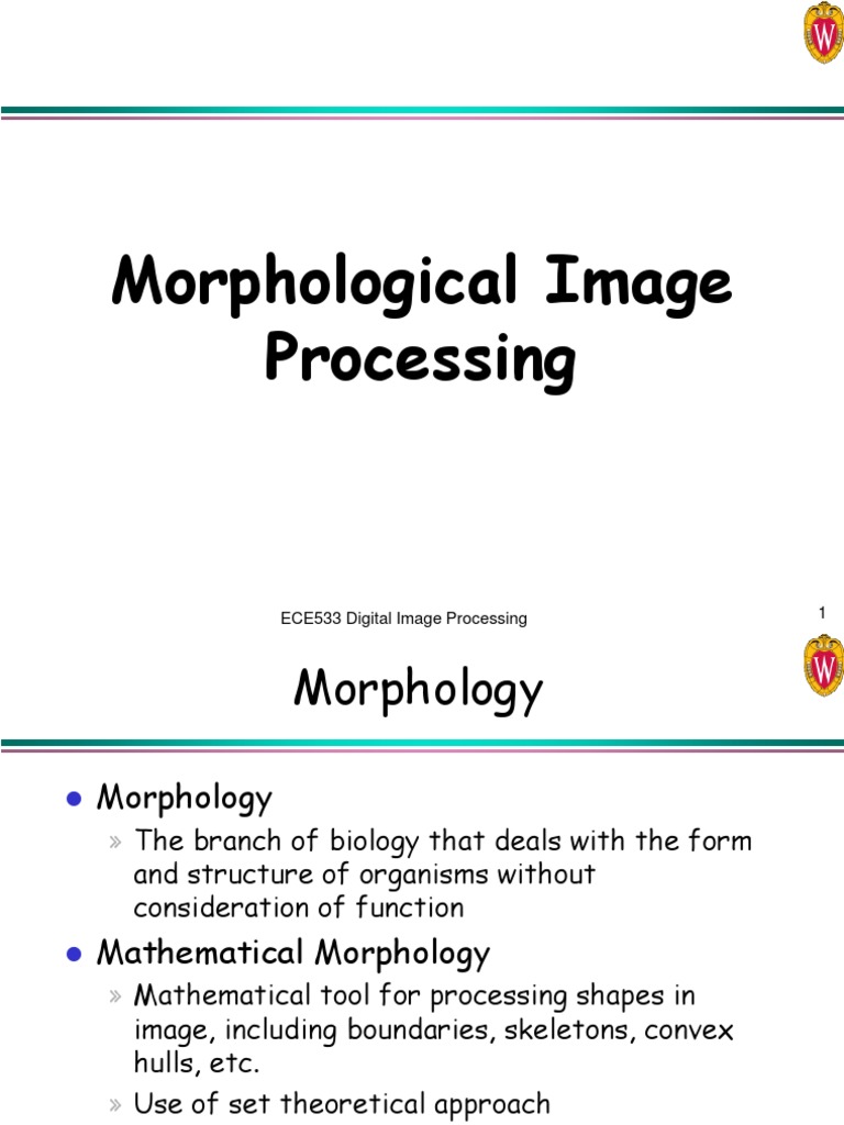 Morphology | PDF | Set (Mathematics) | Mathematical Objects