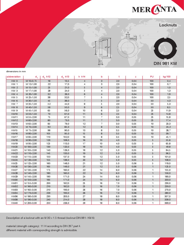 DIN 981-Locknuts PDF | PDF