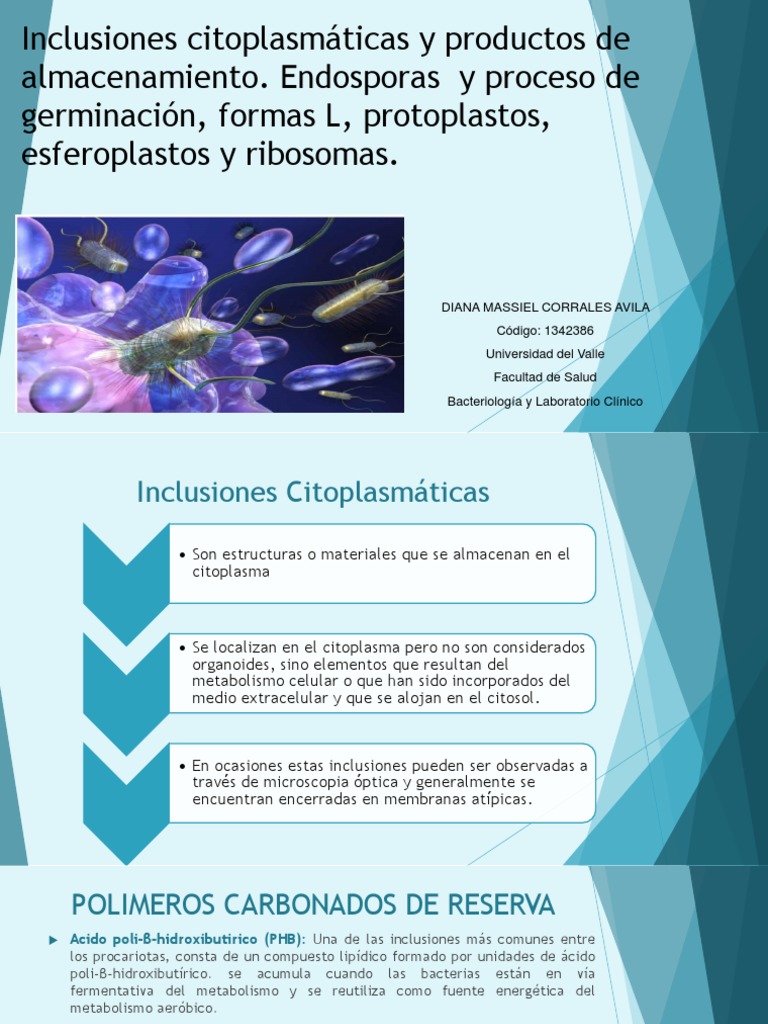 Inclusiones Citoplasmáticas en Bacterias | PDF | Las bacterias | Citoplasma