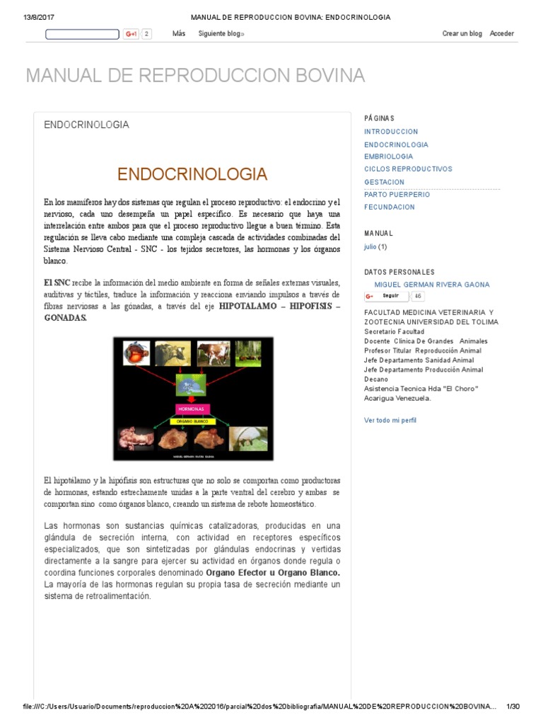 Manual de Reproduccion Bovina - Endocrinologia | PDF | Hormona ...