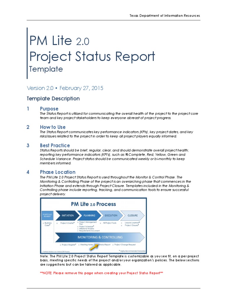 Project Status Temp | PDF | Performance Indicator | Accountability