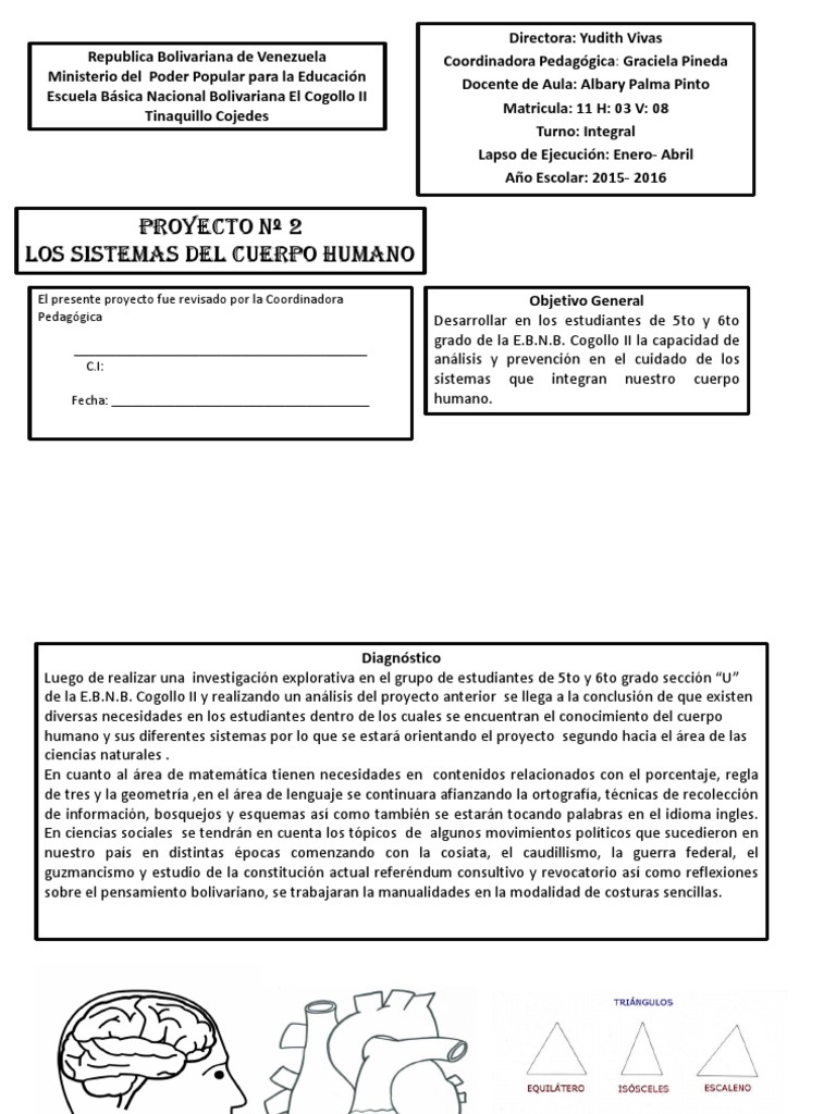 Proyecto sobre los sistemas del cuerpo humano | PDF | Science | Venezuela