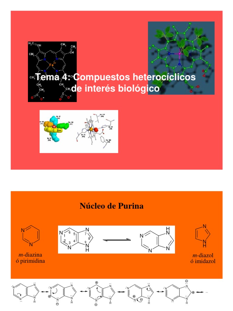 Tema 4 Compuestos Heterocíclicos de Interés Biológico PDF | PDF ...