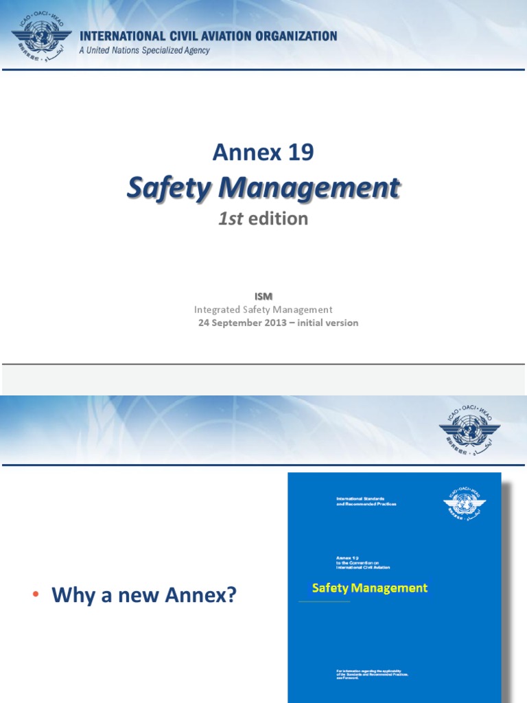 Annex 19 - Icao | Download Free PDF | Aviation | Business