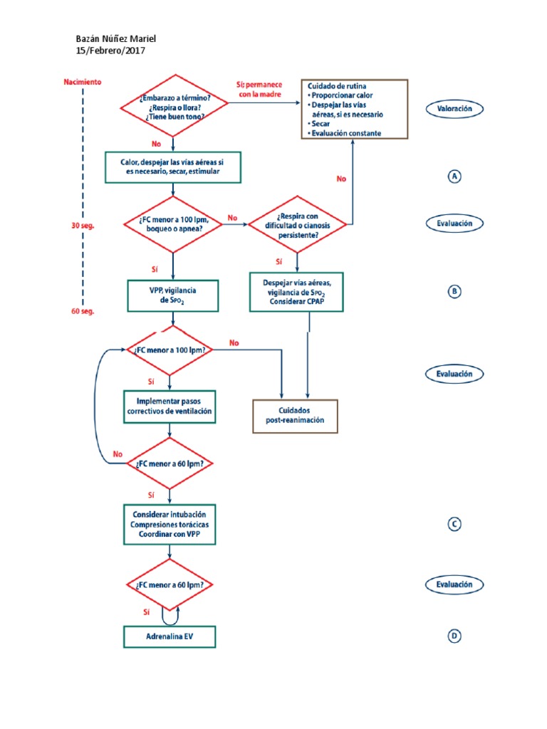 FLUJOGRAMA DE REANIMACIÓN NEONATAL Maps | PDF | Reanimación ...