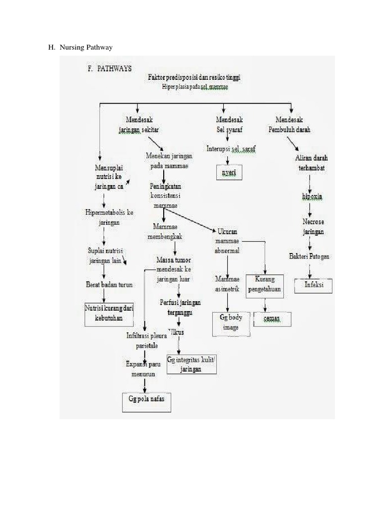 Nursing Pathway | PDF