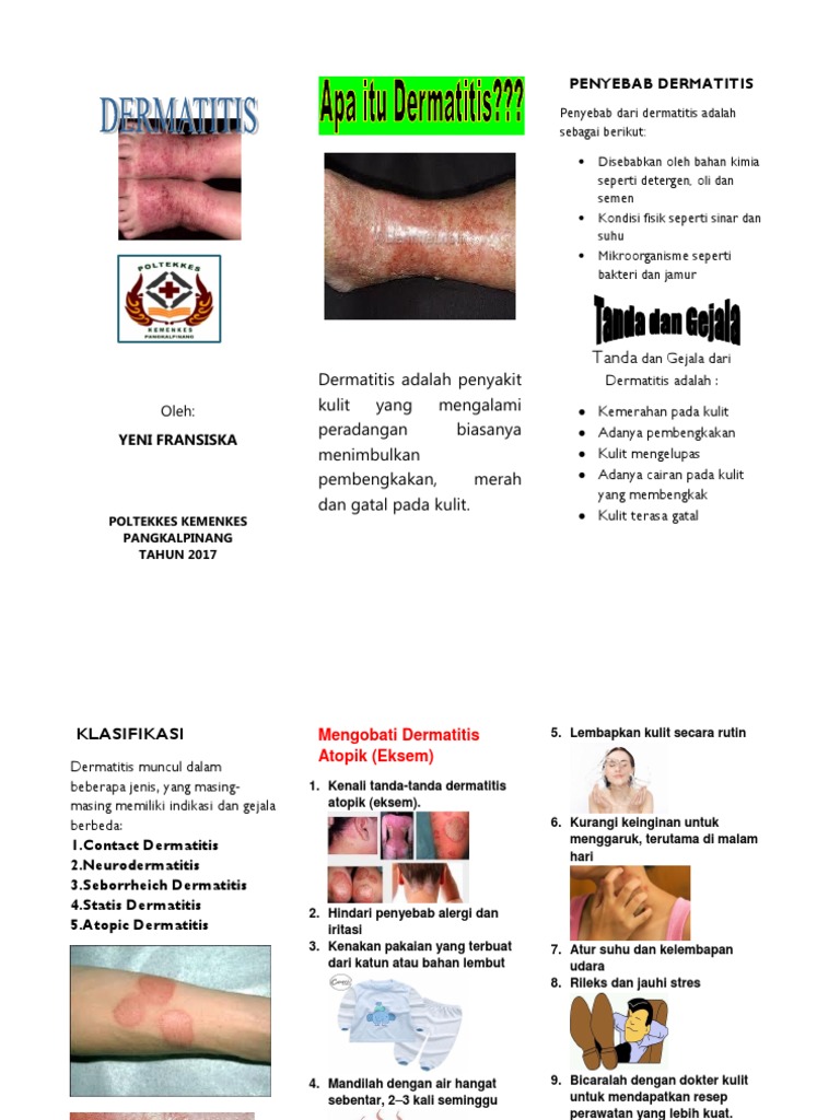 Leaflet Dermatitis Poltekkes | PDF