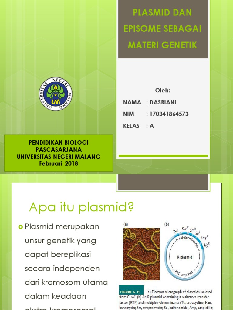Plasmid Dan Episome | PDF
