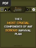 Prepping Matrix (V 1.0) | PDF | Foreign Language Studies | Wellness