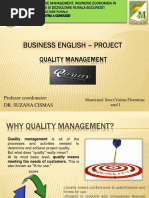 IIA Maturity Model PDF | PDF | Internal Audit | Audit