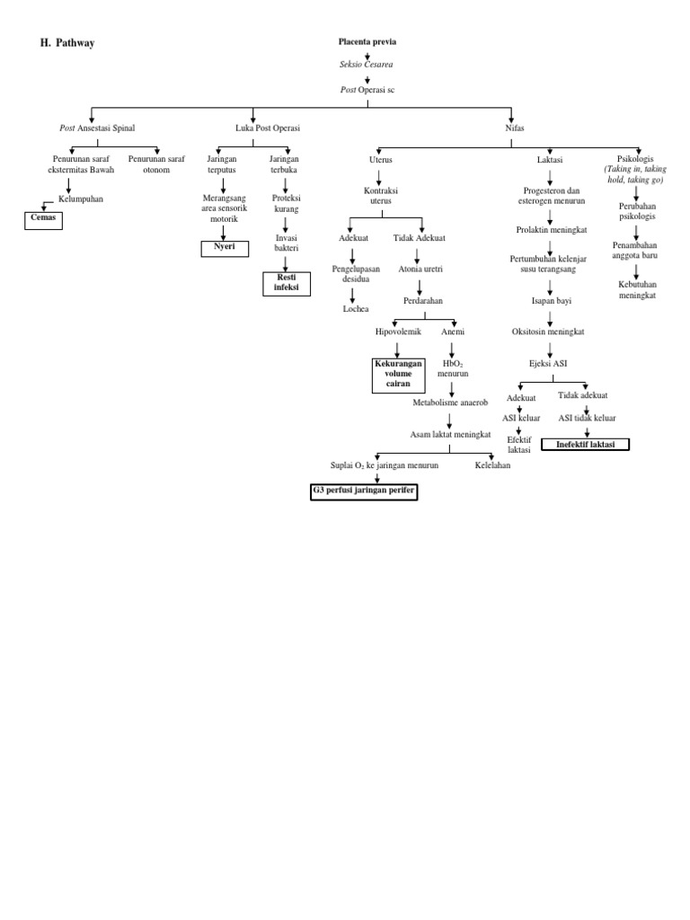 Pathway Placenta Previa | PDF