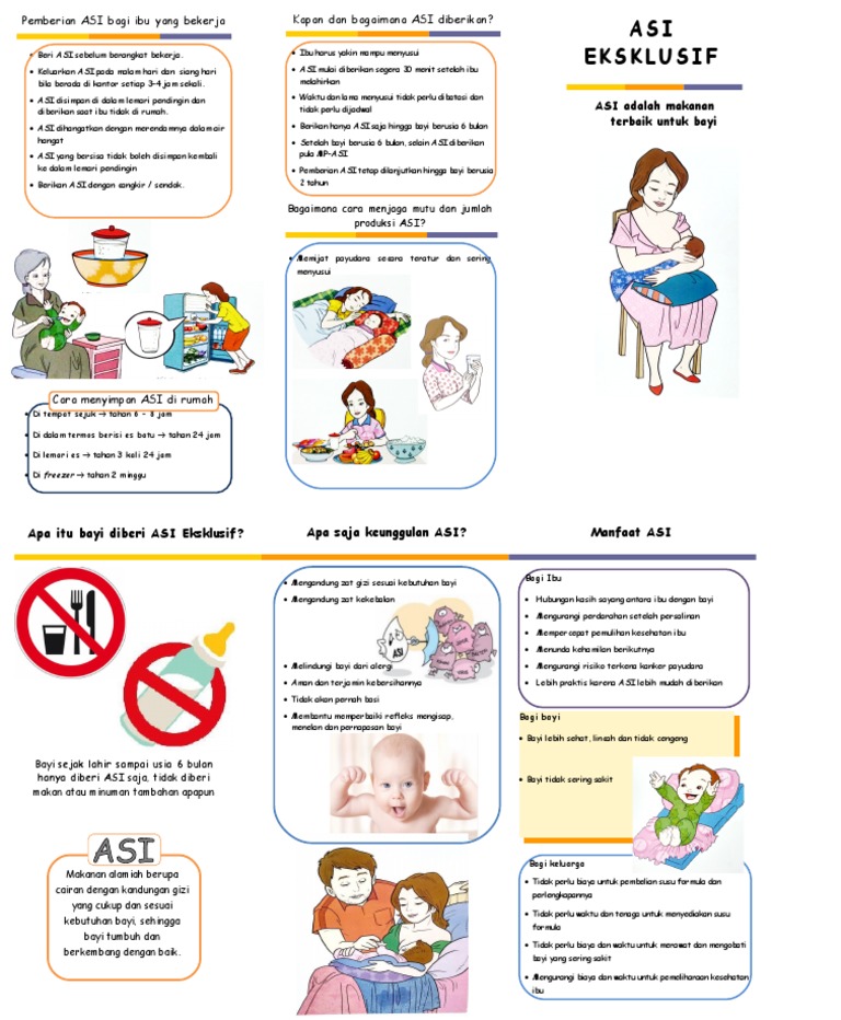 Leaflet ASI Eksklusif | PDF