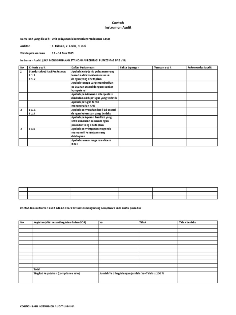 Instrumen Audit Internal Puskesmas | PDF