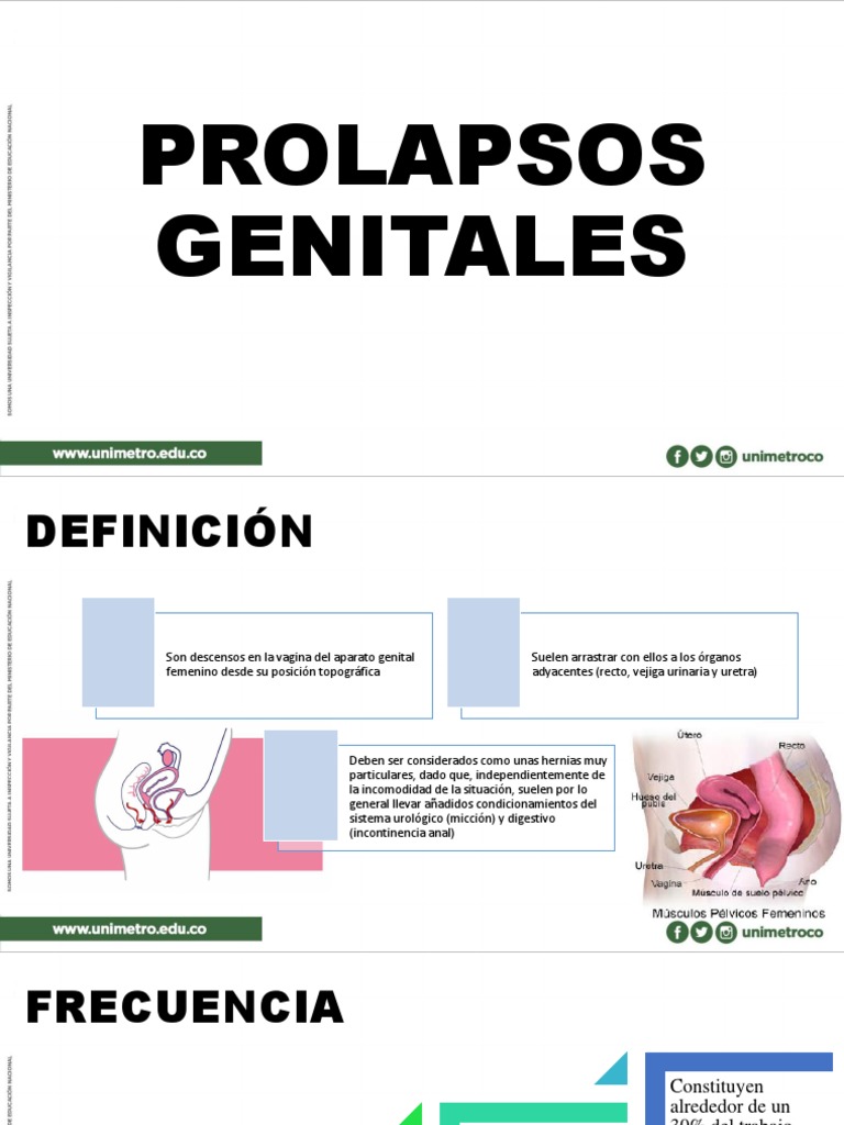 Prolapsos Genitales | PDF | Vagina | Útero