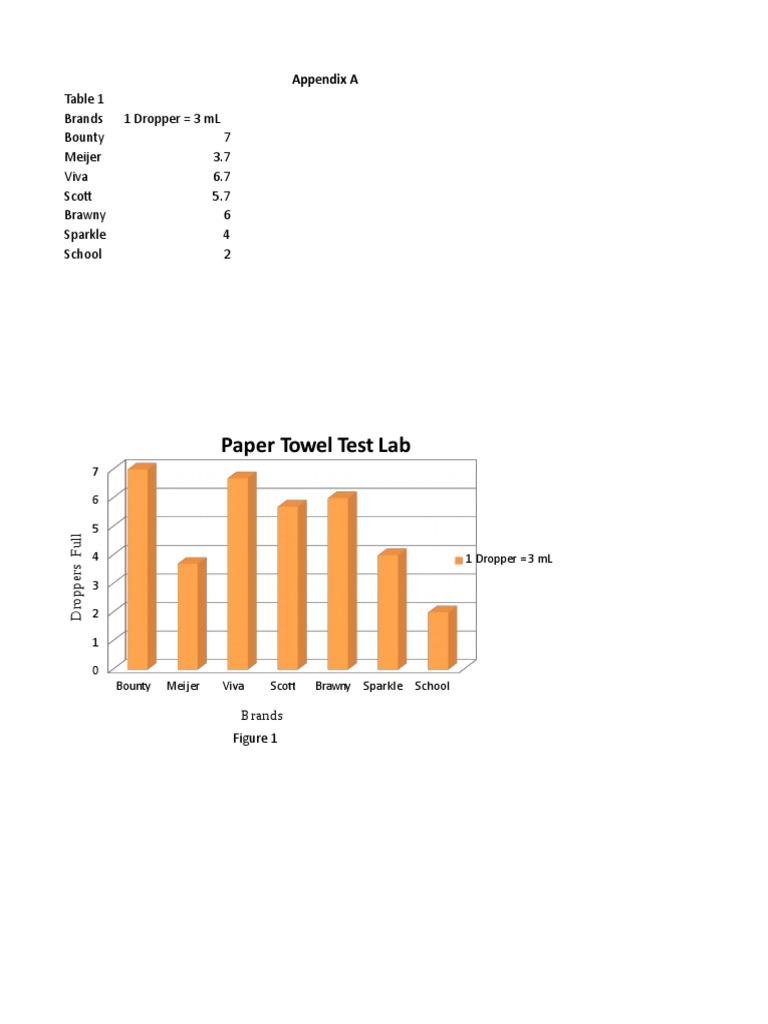 Paper Towel Lab | PDF