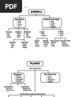5 Rough Objects | PDF