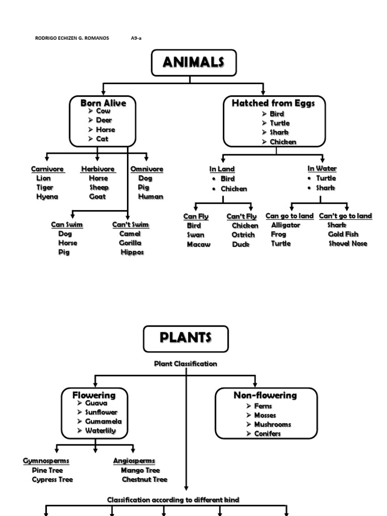 Animals: Born Alive Hatched From Eggs | PDF
