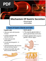 Stamm Gastrostomy (Complete) | PDF | Surgical Suture | Medicine
