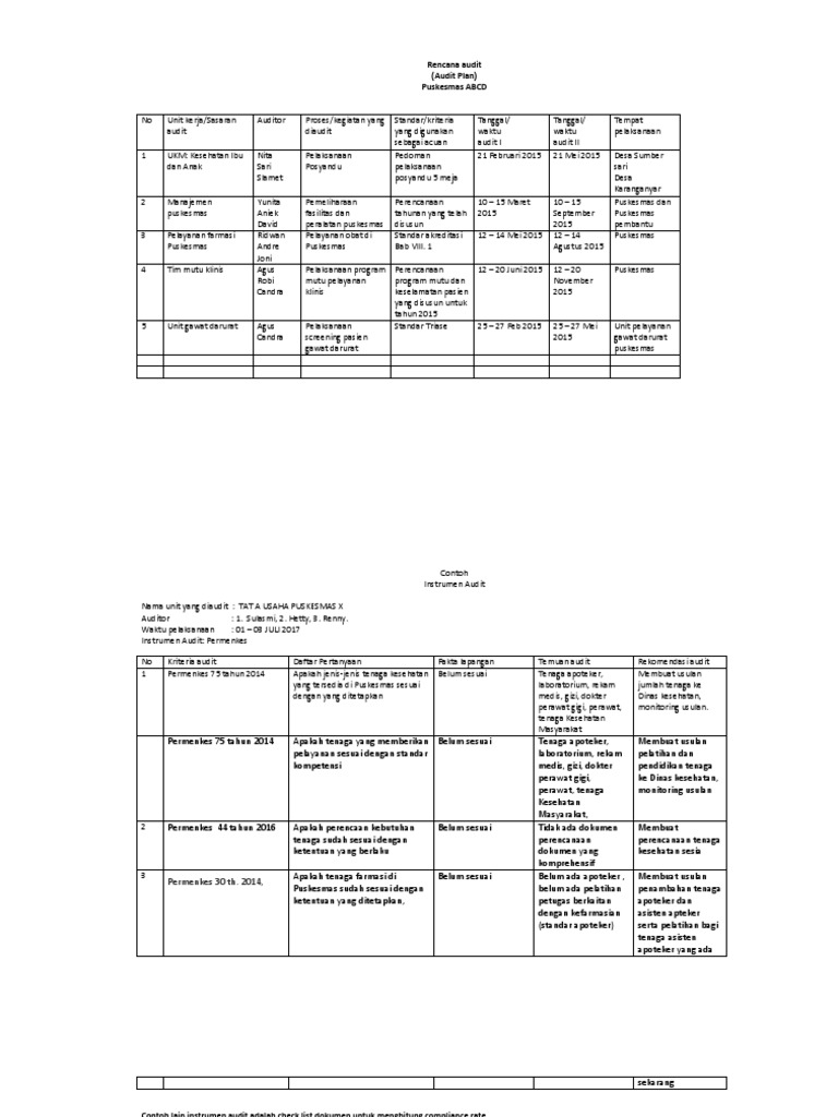 Contoh Instrumen Audit | PDF