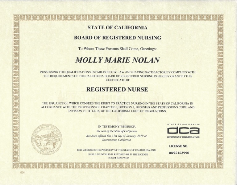 RN License BRN Certificate | PDF