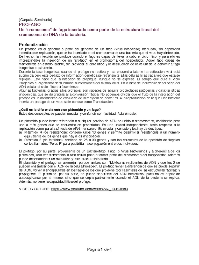 Profago | Descargar gratis PDF | Bacteriófago | Plásmido