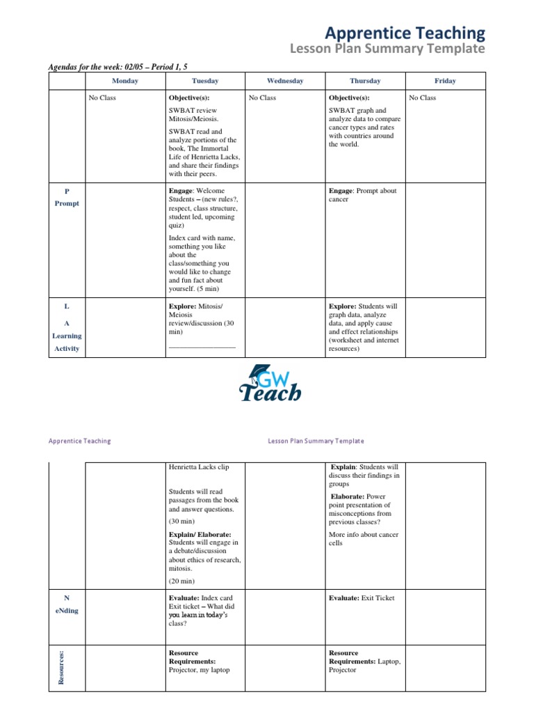 Apprentice Teaching Lesson Plan Summary Template Pdf Lesson Plan