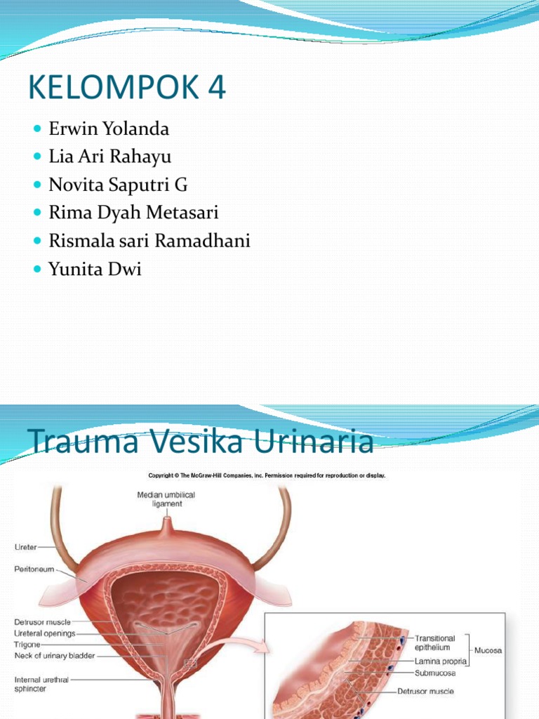 TVU Trauma Vesika Urinaria | PDF