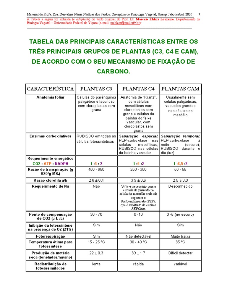 tabela, c3, c4, cam | Plantas | Fotossíntese